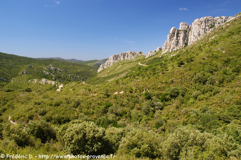 Massif de la Sainte-Baume, massif le plus élevé de la Provence